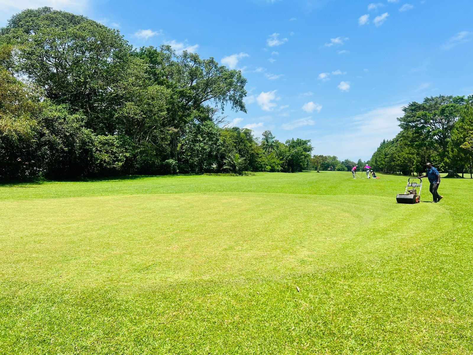 Course - Mary Louise Simkins Memorial Golf Club